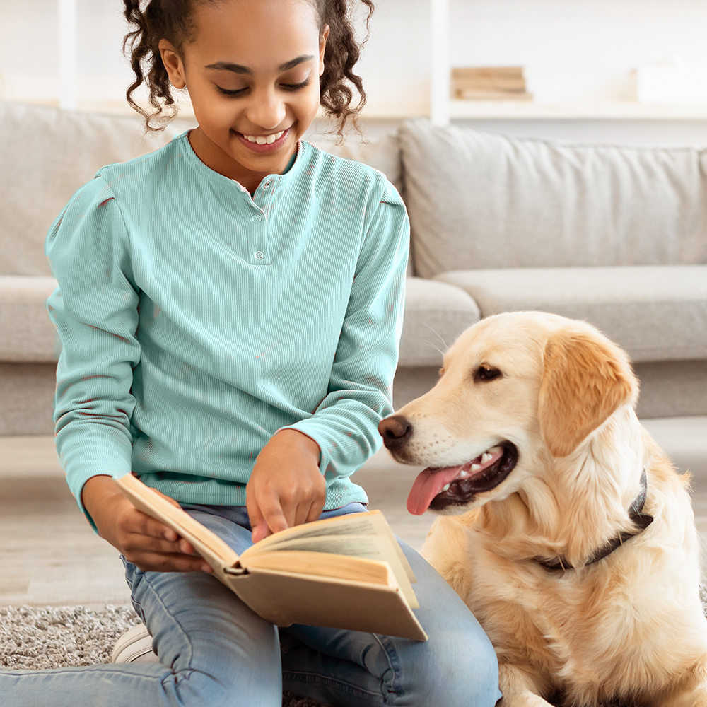 Homeschool Marketplace – Homeschool Marketplace