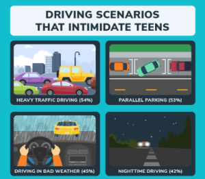 Aceable Driver’s Ed – Homeschool Marketplace